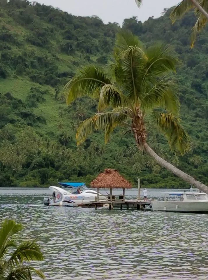 Beqa Lagoon 2 Hour Snorkeling Day Tour - Tour Fiji Tours